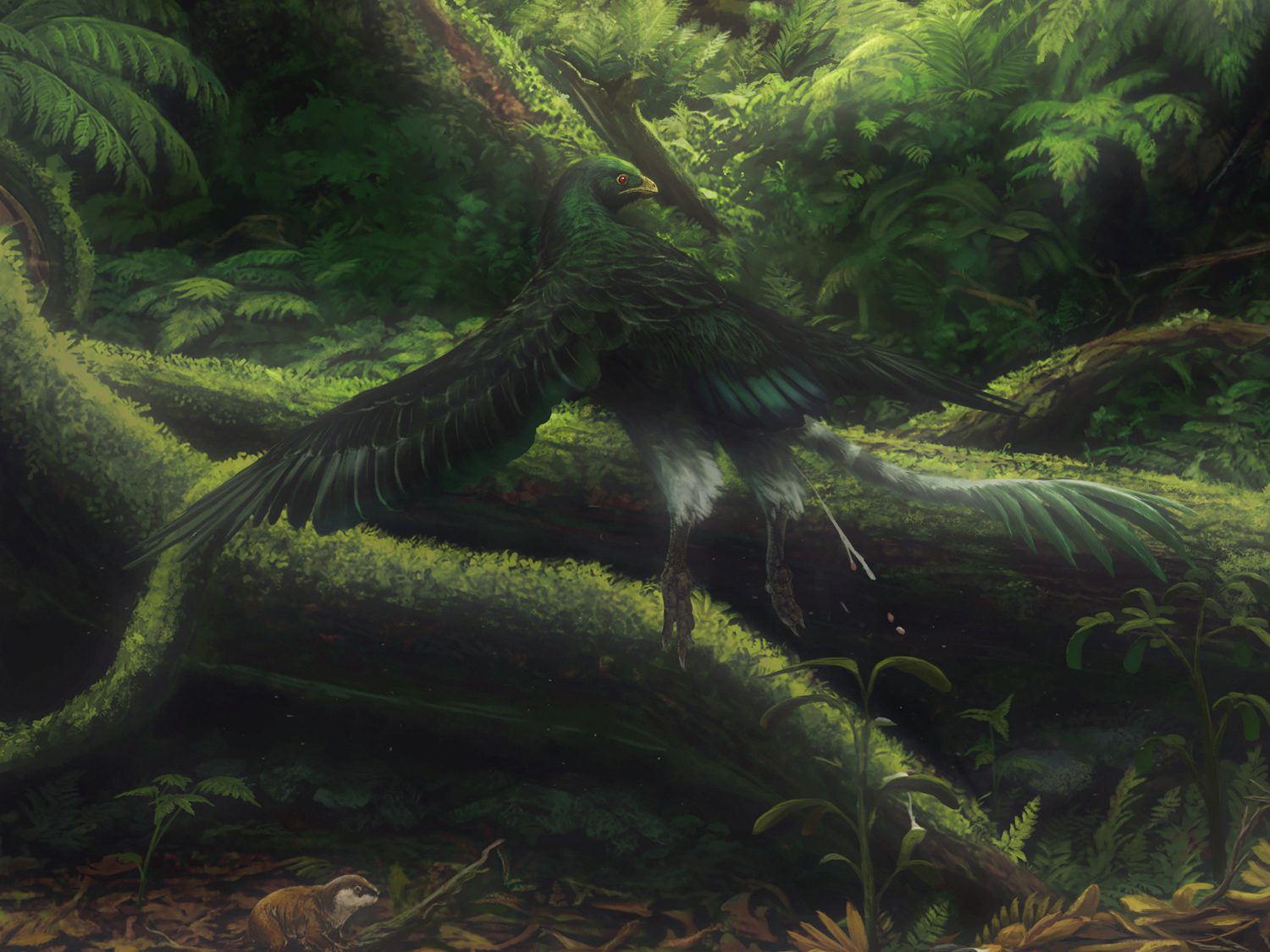 Scientists say earliest known animal to eat fruit lived 120 million ...