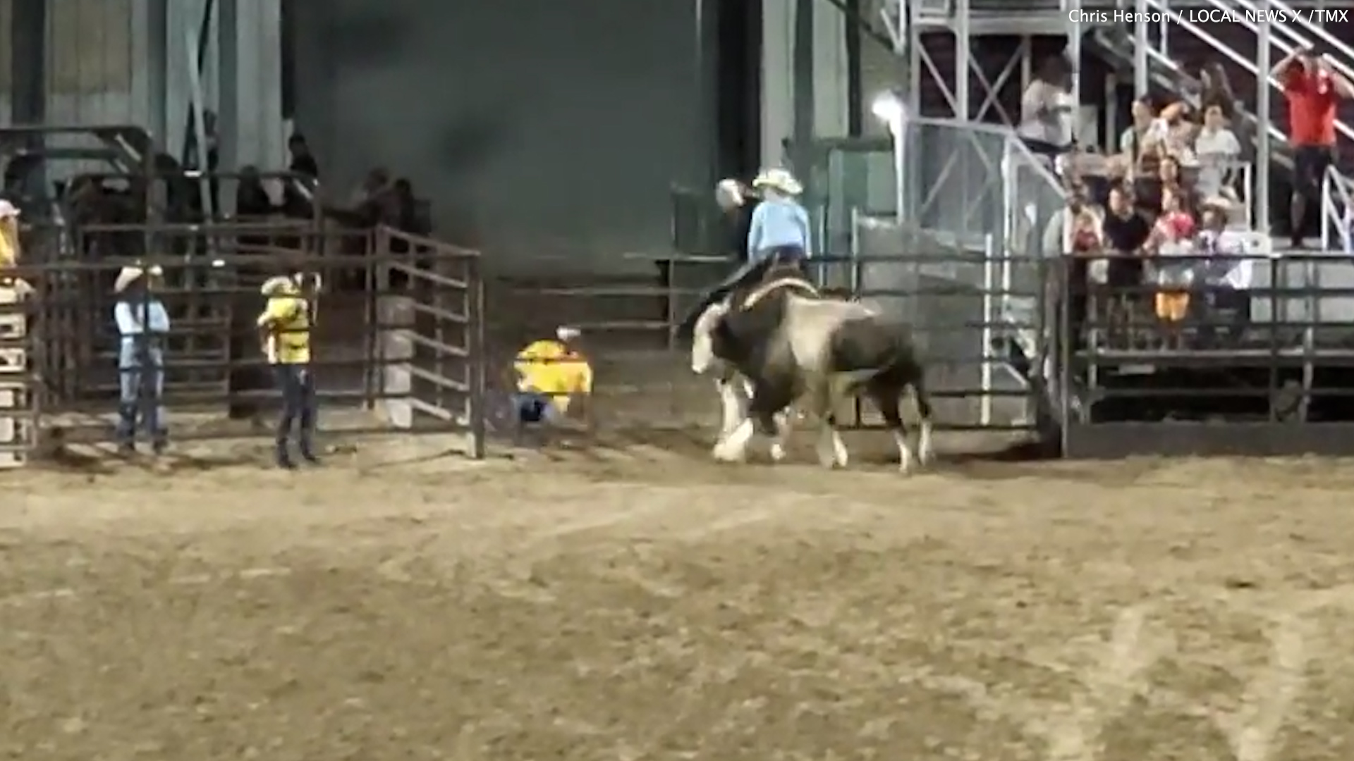 SEE IT: Bull leaves path of destruction after escaping rodeo arena