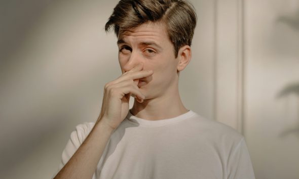 Scientists discover world's largest spider web