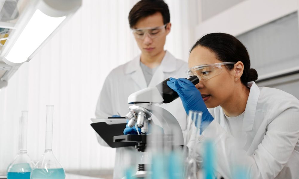 Scientists discover world's largest spider web